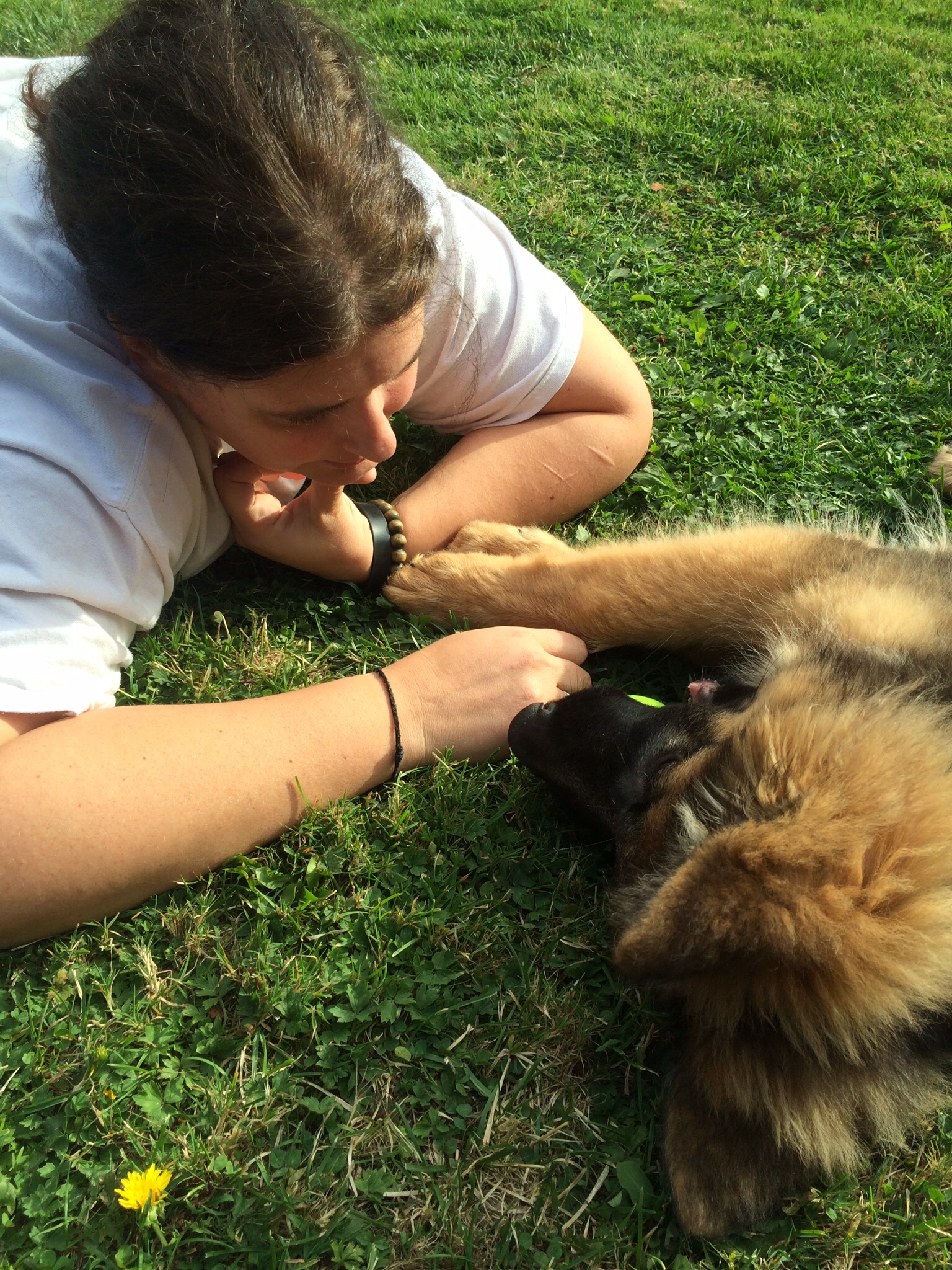 Shona Paterson talks to the Evening Echo - MaREI