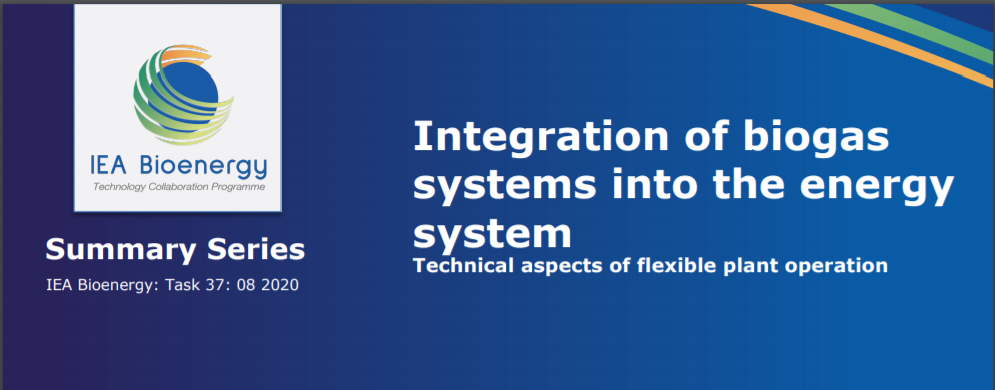 IEA Bioenergy has Launched a New Report on the Integration of Biogas ...