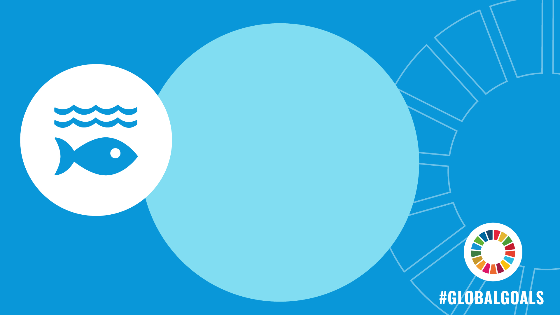 Global Goals Week – Goal 14 (Life Below Water) - MaREI