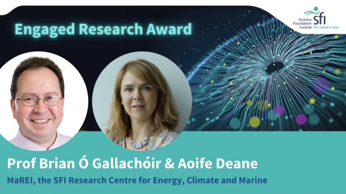 MaREI wins at the Science Foundation Ireland 2022 Awards - MaREI