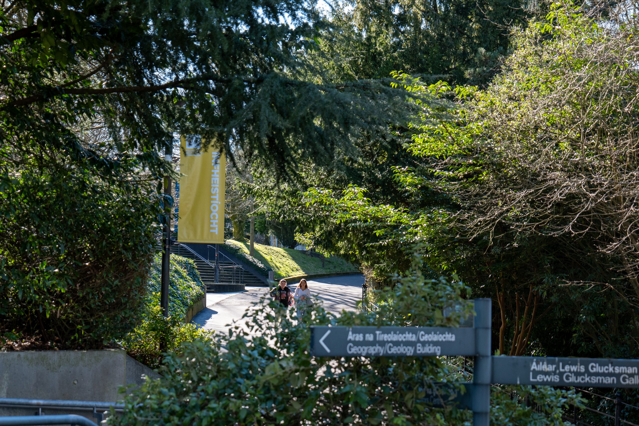 Business Engagement at UCC - MaREI